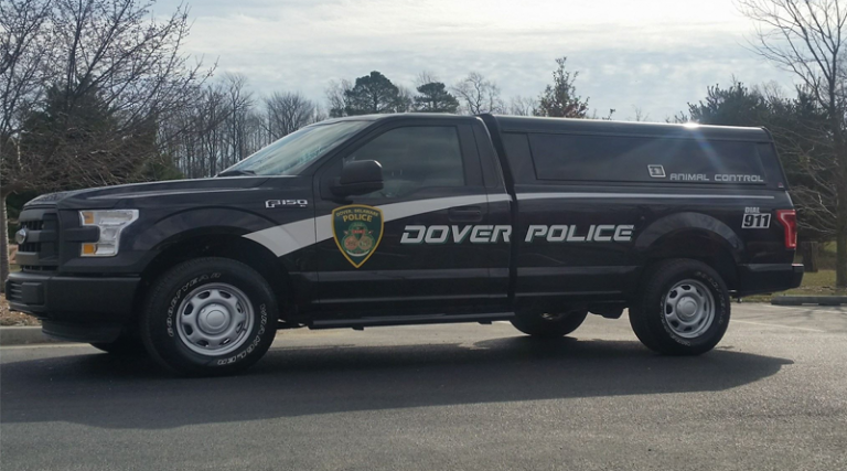 Dover Police Department Will No Longer Handle Stray Dog Complaints ...